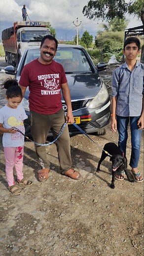 Lab going to Anantapur Happy customer . Cont:9533855034 | Bhairava Kennels Proddatur