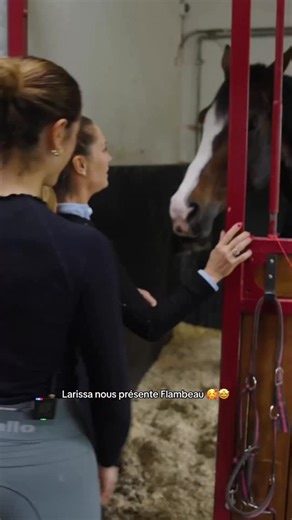 87K views · 3.4K reactions | La vraie star des écuries c’est lui ! @larissa_pauluisdressage nous présente son cheval Flambeau avec qui elle a déjà participé deux fois aux Jeux Olympiques, à Tokyo et à Paris ✨ #equestrian #equitation #cheval #mathildeetsligo #dressage | Mathilde & Sligo | Facebook