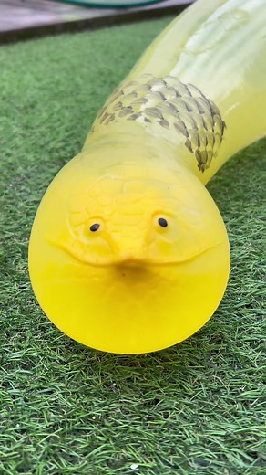 Fun Balloon Science Experiment with Hose and Water