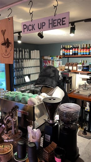 Discover Whidbey Island's Secret Coffee Spot