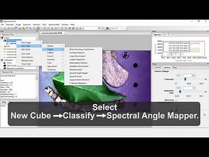Tutorial - Data analysis using Spectronon software