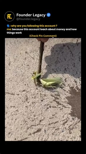 founder legacy on Instagram: "The Hidden Horror: How a Parasite Can Control Its Host’s Mind This shocking image shows a praying mantis being controlled by a horsehair worm — a real example of parasitic mind control that looks straight out of a horror movie. 🧠 The Science Behind It Horsehair worms develop inside insects like praying mantises, feeding on their internal nutrients. When ready to reproduce, the parasite releases chemicals that hijack the mantis’s brain, forcing it to jump into water