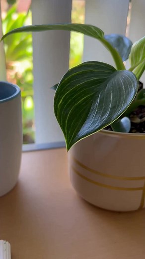 Coping with intrusive thoughts | Painting Techniques