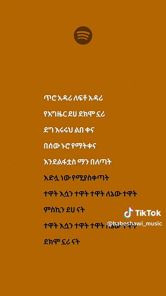 Neway Debebe - Deha Nat Official Lyrics Revealed