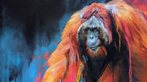 Adopt an Endangered Animal Species Today | From Just £3 A Month | DSWF