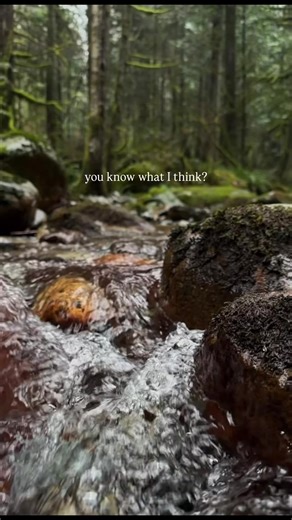 Be careful who you surround yourself with! Follow your intuition - it knows the path 🌿🫶🏼 #nature #slowmotion #river Audio: @Off Grid Austin