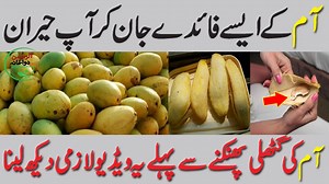 Mango benefits in urdu hindi | Aam ke fayde |Genius Way To Use Mango Seeds | Aam ki Ghutli Ke Fawaid How To Use Mango Seeds https://youtu.be/N645TAufIt4 #Mangobenefitsinurduhindi#Aamkefayde#AamkiGhutliKeFawaid ----------- website Online Pansar Store ----------- let's go and buy now; http://newpansari.pk/ ------------Instagram Official------------------ Please Follow: https://www.instagram.com/habibhameen/ -------------------------------------------------------------------------------------------
