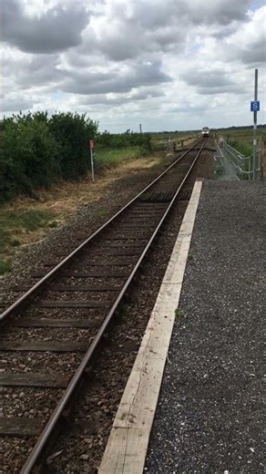 Class 755 approaches Berney Arms