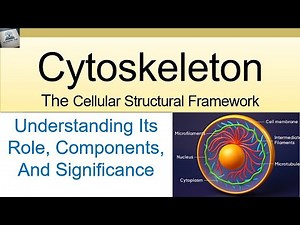 Cytoskeleton Explained: Cytoskeleton structure and function #cytoskeleton #cellbiology