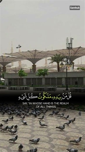 🇸🇦🥹🤧🩷 #Allab #Muhammadﷺ #Makkah #Quran #respect #shorts #viralshort #like #subscribe #pageforyou
