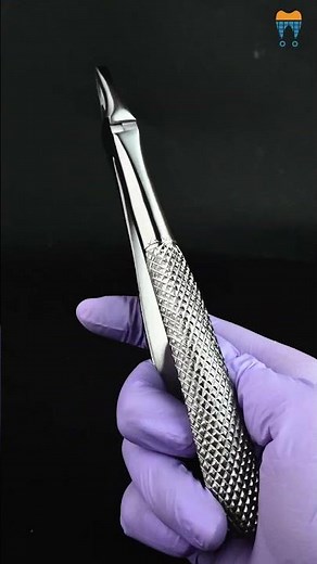 Waldent Tooth Extraction Forceps Upper Roots & Incisor No.29 (1/117) - Precision Dental Instrument