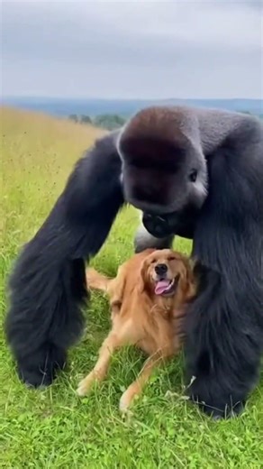 #OceanClips #DeepOcean #DangerousSea #MarineLife