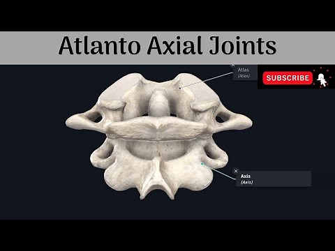 Atlanto - Axial Joints | Median & Lateral Joints | Articular surfaces Ligaments| Movements| Muscles