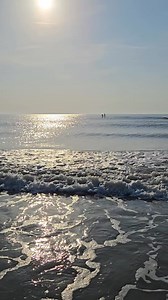 15K views · 1.5K reactions | Solitude 珞 | First Light InSite | Facebook