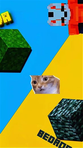 JAVA and BEDROCK Difference video #minecraft #isurvived100daysminecraft #minecraftsurvivalseries