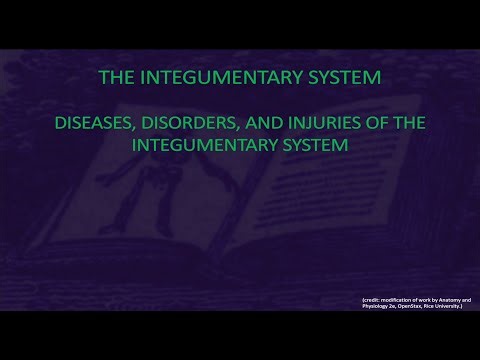 Diseases, Disorders, and Injuries of the Integumentary System