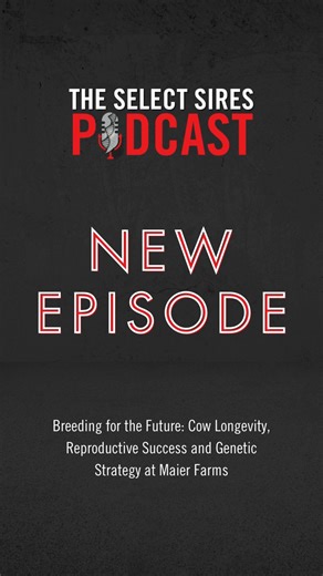 3.8K views · 29 reactions |  New Episode In this episode of The...