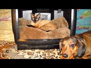 Домик для кошки из старого ЭЛТ телевизора