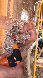 Testing GreenFiber Cellulose🔥 #construction #insulation #HomeComfort | Michelle