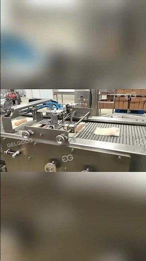 Meat Vege Spring Roll Production Line