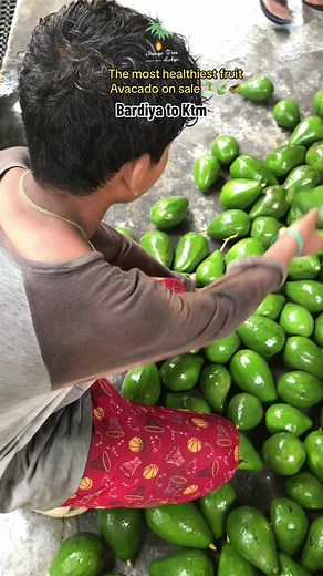 Naturally grown Avacado at Mango Tree Lodge 🥙🍃🏝 #foryou