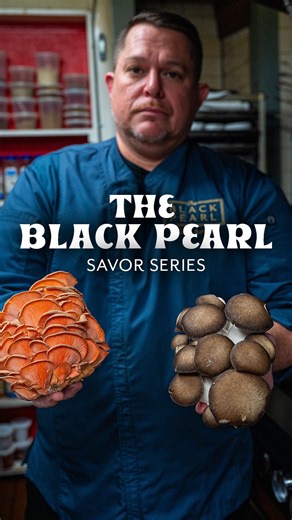 Tucked along the charming streets of downtown Dunedin, @TheBlackPearlOfDunedin offers an intimate, elevated dining experience that’s equal parts refined and romantic. 🌹🖤 Led by Chef Partner Chris Artrip, this beloved local gem brings a sense of occasion to every table, blending polished technique with the warmth of a small-town setting. Known for its moody lighting, attentive service, and cozy vibe (especially at the coveted Table 7—affectionately called The Fishbowl), The Black Pearl has beco