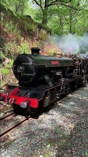River Esk Cruises By!