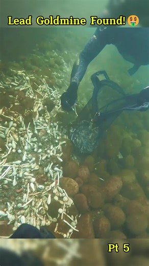 Treasure Diving Adventure: Discovering Gold in the Lake