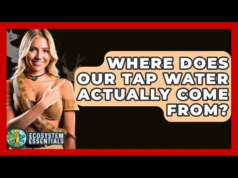 Where Does Our Tap Water Actually Come From? - Ecosystem Essentials