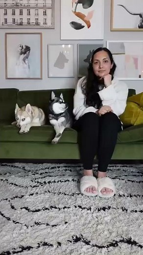JEALOUS Mini Husky Gets Upset When Mom Kisses His Sister Before Him