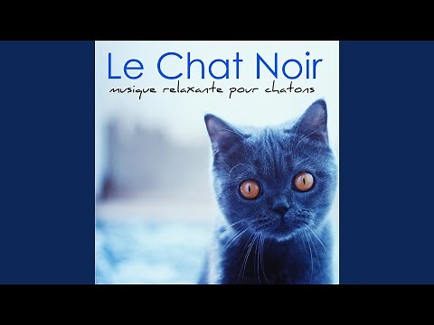 Musique douce pour endormir ton chat