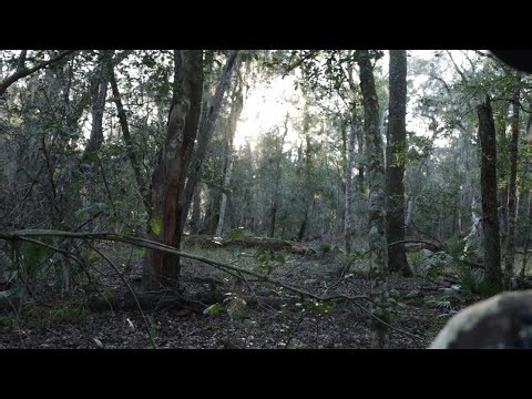 8 Minute Turkey Talk