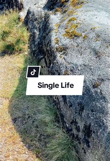 Understanding Energy Dynamics in Everyday Life