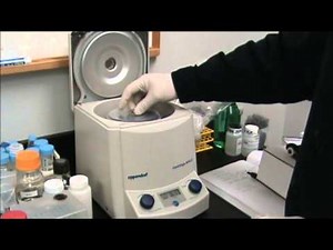 Synergy Plant DNA Extraction Kit