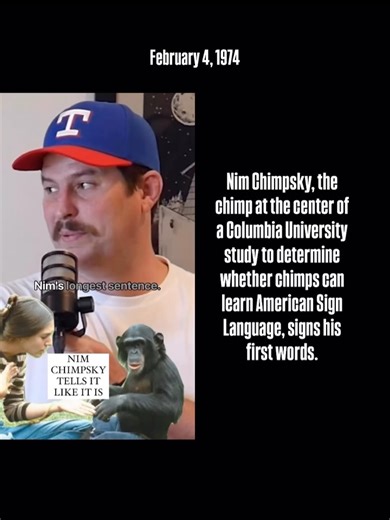Oddball History on Instagram: "FEBRUARY 4 IN HISTORY 211 - Septimius Severus, the 21st Emperor of Rome dies in Eboracum, near modern day York, England. 1789 - George Washington unanimously elected as the first President of the United States. 1945 - The Allies' "Big Three," Winston Churchill, Franklin D. Roosevelt and Joseph Stalin meet in Crimea for the Yalta Conference. 1974 - Chimpanzee Nim Chimpsky, test subject of a Columbia University study to determine whether chimps can learn American Sig