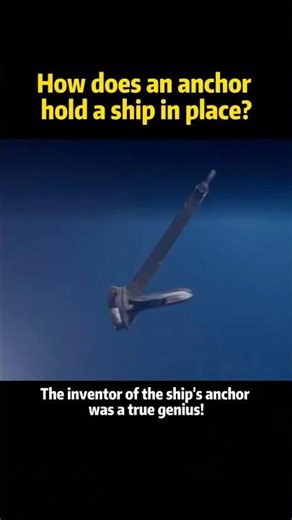 How does an anchor hold a ship in place?#science #3d #knowledge