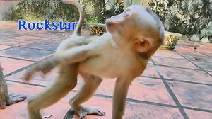 37K views · 1.2K reactions | So Funny Reaction Baby Rockstar Lip Smacking Talking With Mama Rozy | Pigtail Monkey Daily | Facebook