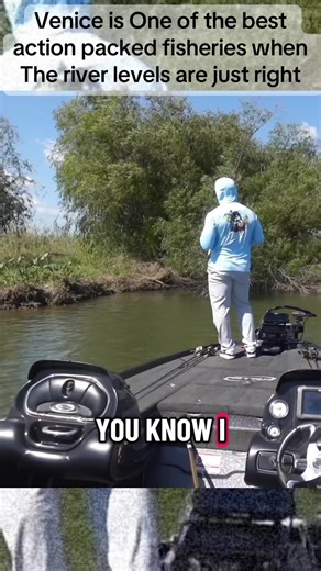 Best Fishing Spots in Venice for Action-Packed Adventures