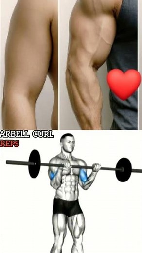 Arm Exercise With Barbell #armworkout #barbell