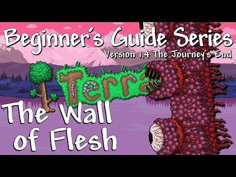 The Wall of Flesh - All Difficulties (Terraria 1.4 Beginner's Guide Series)