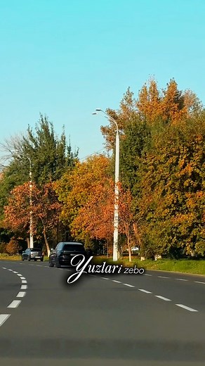 15–25 thrills , 25–30 coffee & shoppin, 30 nature & ocean pick your vibe! 😆#VibeCheck #LifeByAge #AdrenalineJunkie #FoodieMood #NatureLover #FunnyVibes #TravelVibes #MoodOfTheDay | Naima Madaminova