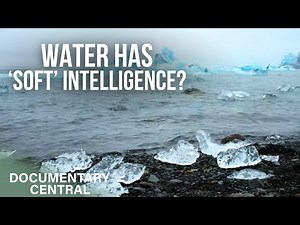 H2O: The Intelligence of Water | The Role of Water in Every Day Life | Documentary Central