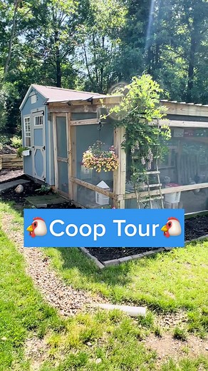 Backyard Chicken Coop Designs and Coop Tour