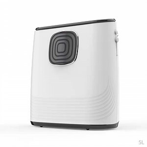 [Hot Item] Low Purity Mini Medical Oxygen Concentrator