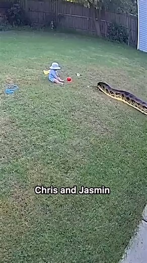 My dog saved my kid running very fast | Chris And Jasmin