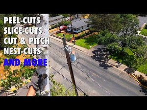 Tree Work by Wires (some cut techniques)
