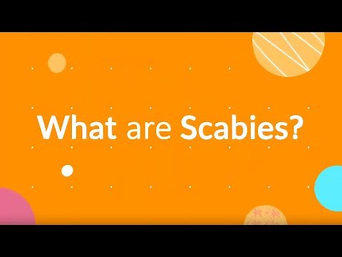 What are Scabies? (Infestation of Human Skin)