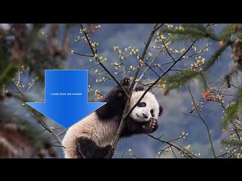 How to Fix Zoom Error Code 1132