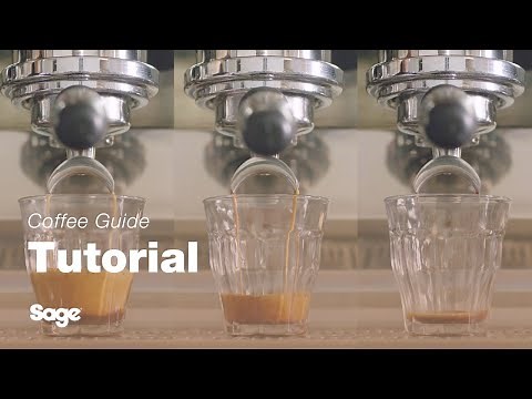The Barista Pro™ | A guide to extracting the perfect espresso shot | Sage Appliances UK