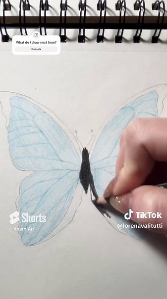 How to Draw a Realistic Blue Morpho Butterfly | Art Tutorial